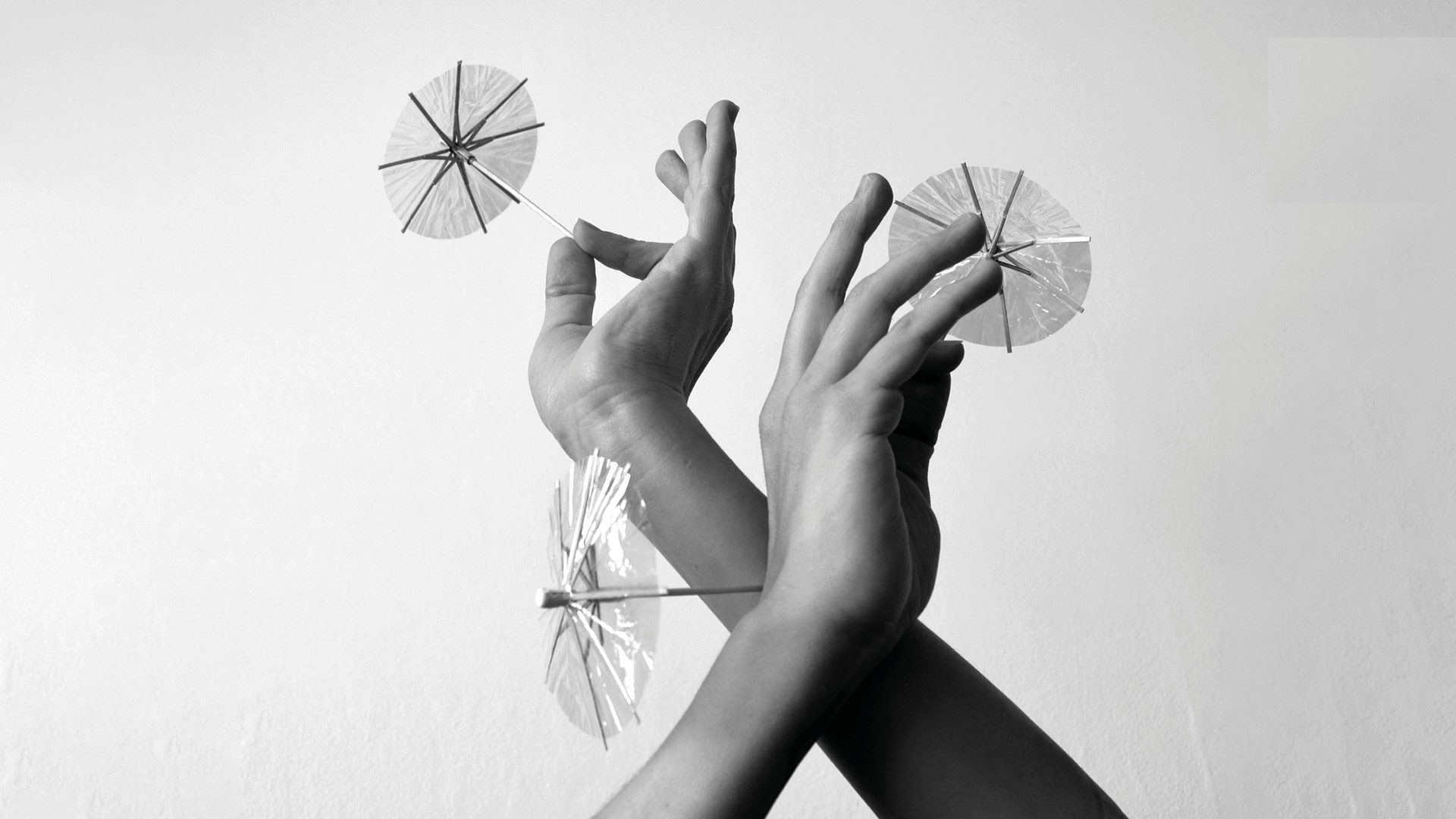 LES PETITS PARAPLUIES - Point Favre